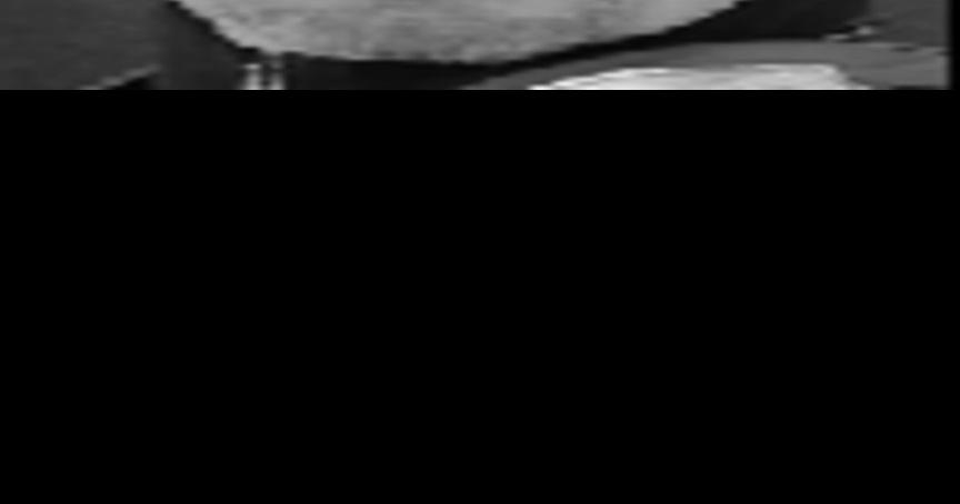 Walter Randall Scott | Obituaries | paducahsun.com