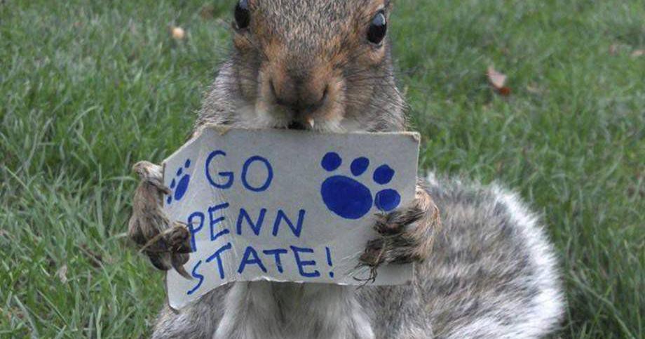 Campus critters are nuts for Penn State's 'Squirrel Girl' | Life ...