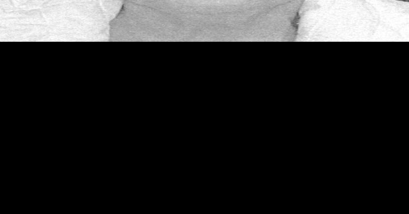 Barbara Ann Reed Day | Obituaries | paducahsun.com