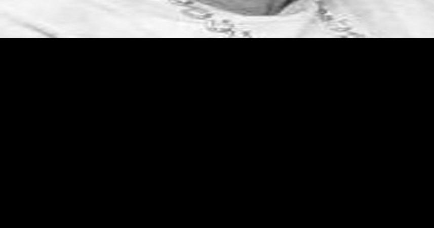 Rose Jeffries | Obituaries | paducahsun.com