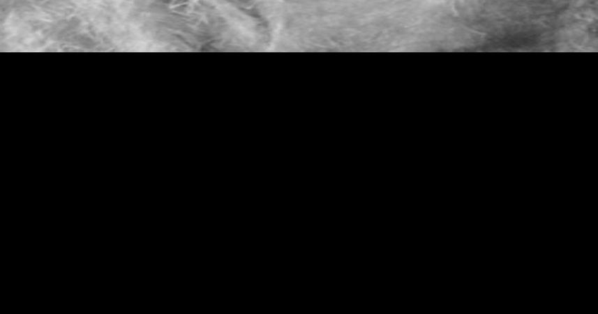 Sue Cope | Obituaries | paducahsun.com