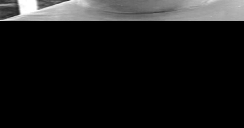 Mark Mogan | Obituaries | paducahsun.com