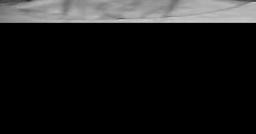 Patricia Jean Carter | Obituaries | paducahsun.com