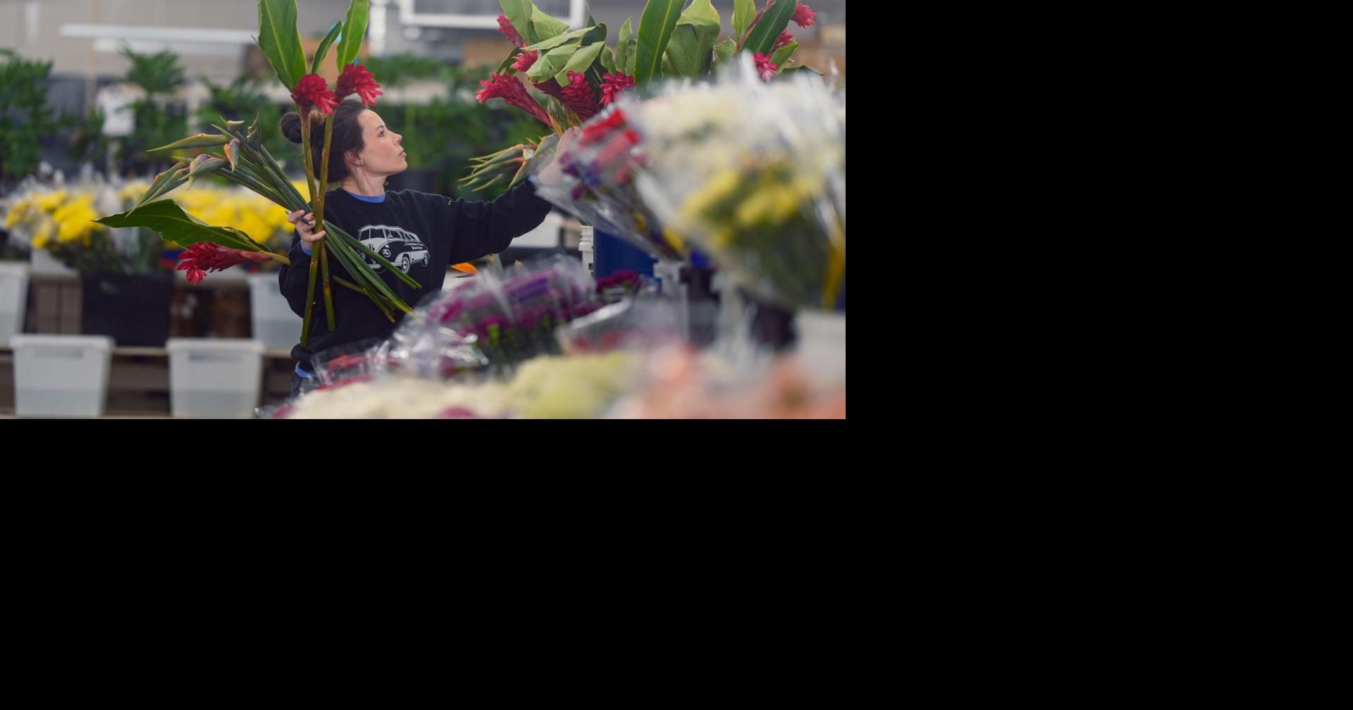 'Art for a loved one' – flowers power Valentine's Day sales | News ...