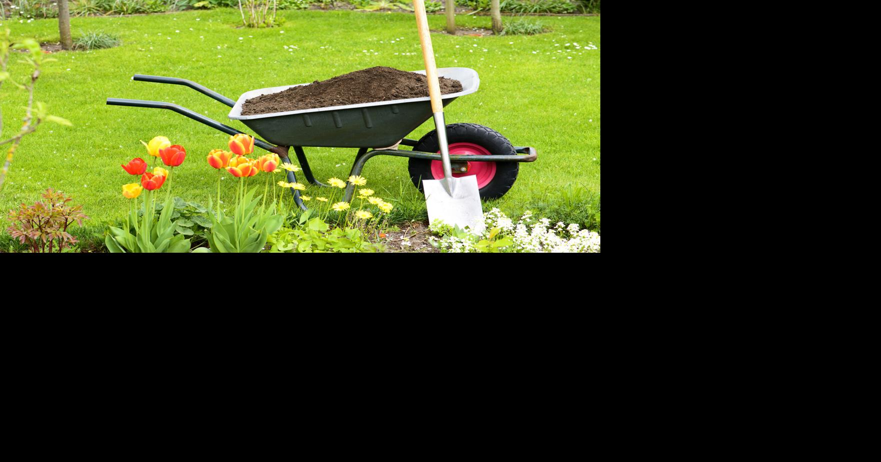 Time to plant for spring | Columnists | paducahsun.com