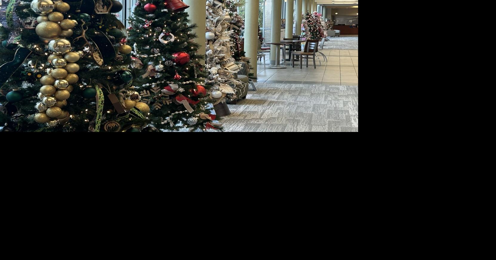 Festival of Trees lights up Mercy Health - Lourdes Hospital | Drawing ...