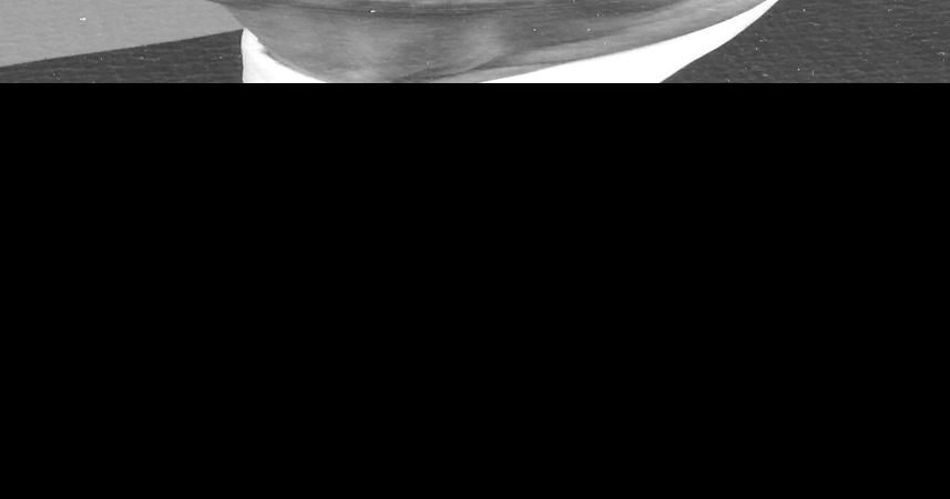 Thomas Elsey George, 100 | Obituaries | paducahsun.com