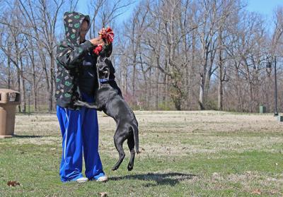 Romp in the park | Local News | paducahsun.com