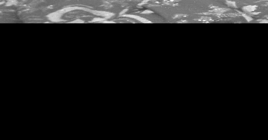 Norma Nelson | | paducahsun.com