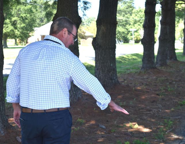 McCracken County working on plans to beautify parks | News | paducahsun.com