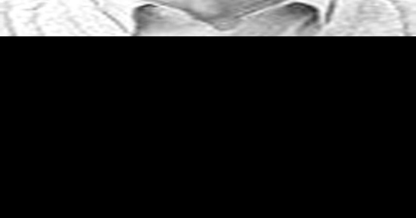 Hardy Joseph Barry Pottinger II | Obituaries | paducahsun.com