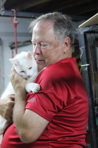 Cat rescue group highlights 'local hero' | News | paducahsun.com