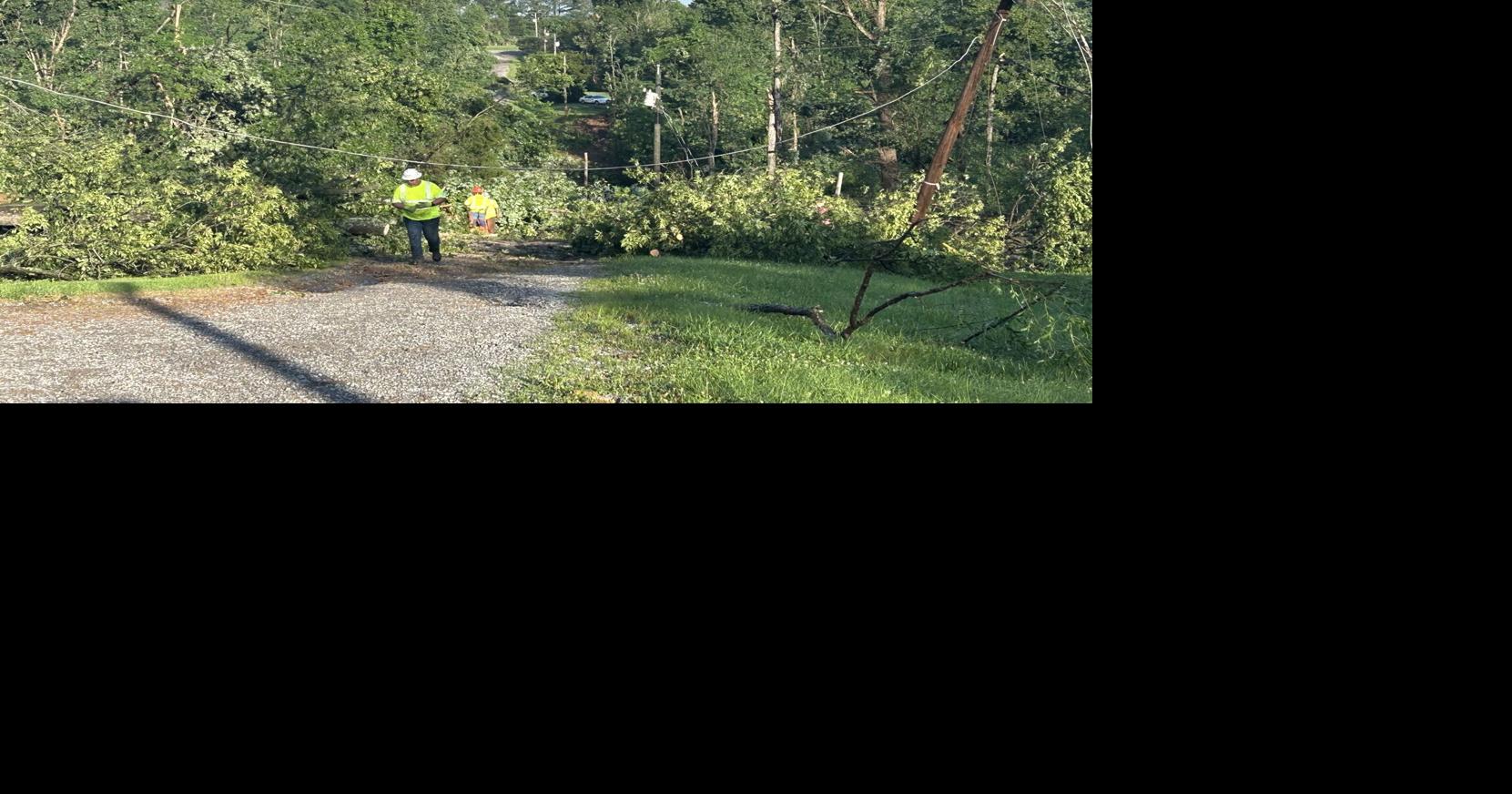Storms destroy homes, uproot trees and take down powerlines in southern Illinois | News ...