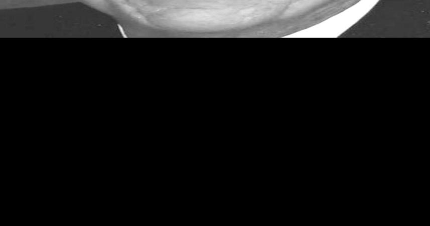 Dennis Griffith | Obituaries | paducahsun.com