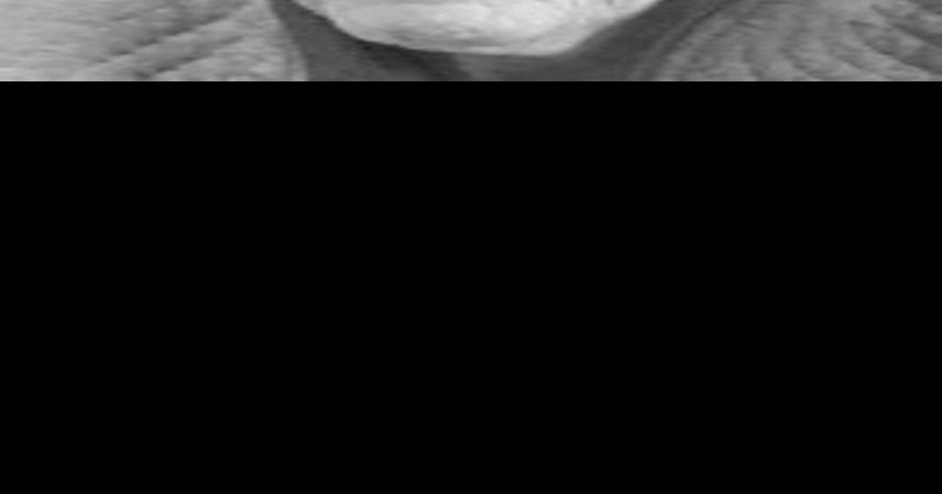 Woodrow Samuel 'Sam' Babb Jr. | Obituaries | paducahsun.com