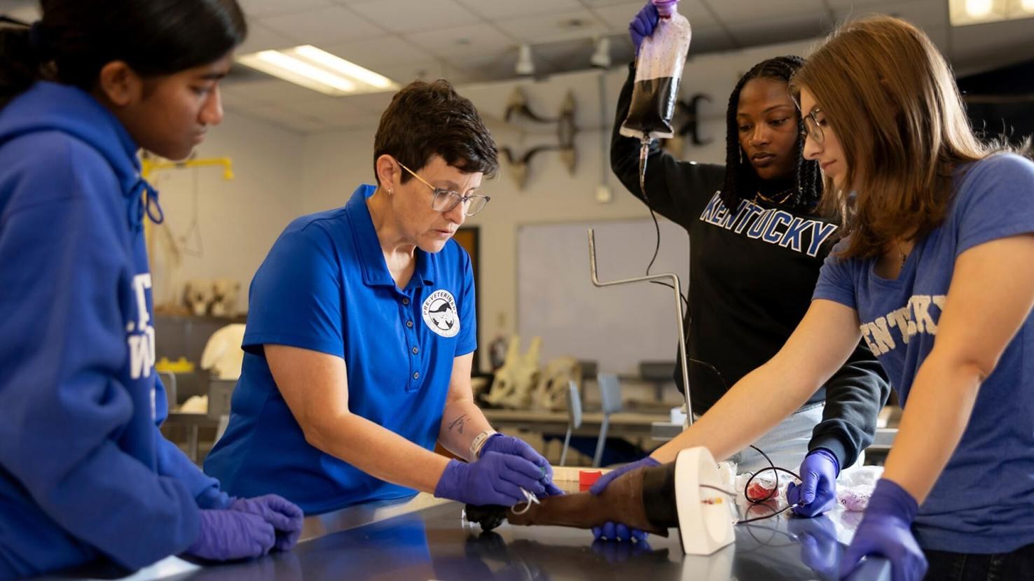 $1M gift launches program to strengthen equine pre-vet training at UK ...