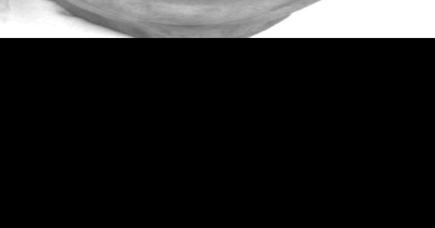 William Orman 'Bill' Brucker | Obituaries | paducahsun.com