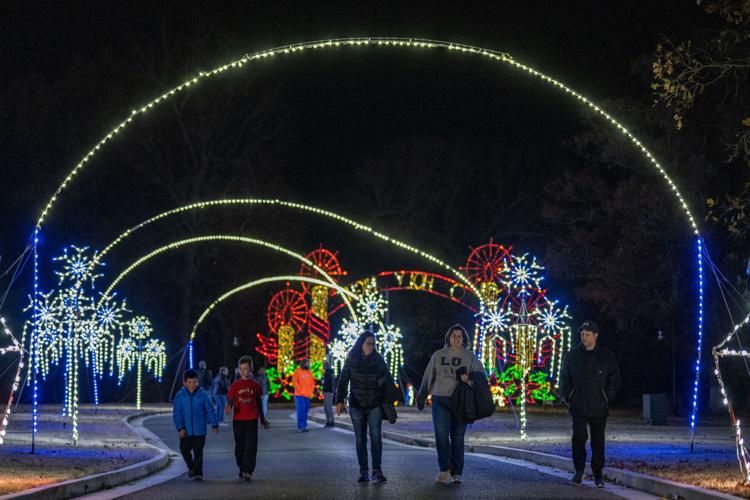 Seasonal Sparkle — PPS light display Brings Delights & Donations | News ...