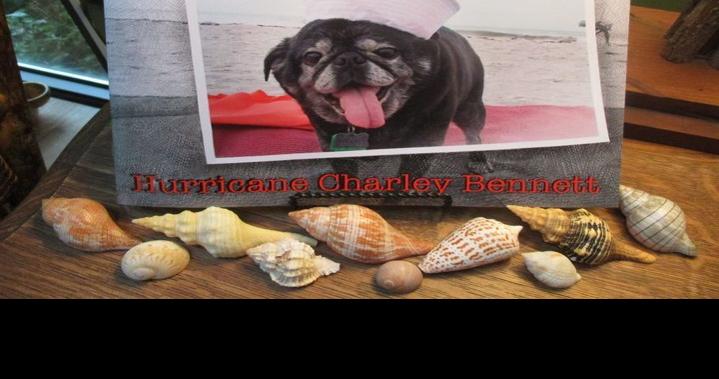 New book benefits Project Hope Humane Society | Local News | paducahsun.com