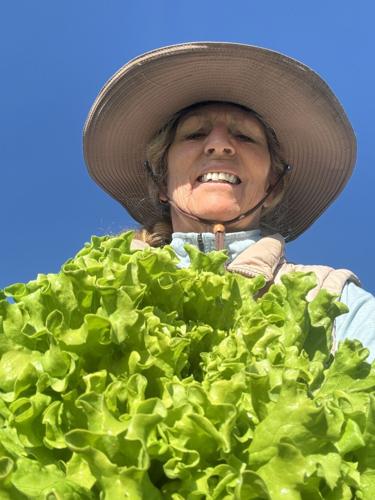 LEAF Food Hub strengthens local food connections across Southern ...