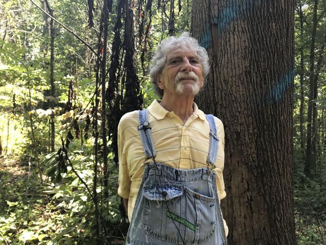 'Never has a forest been logged back to health': Suit aims to halt ...