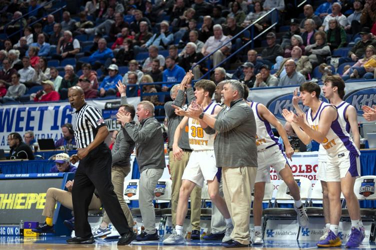 Role players make key difference in Lyons quarterfinal victory | Sports ...