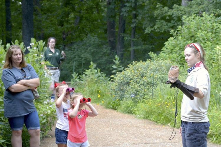 Scavenger hunt at LBL blends ecology, patriotism | Local News ...