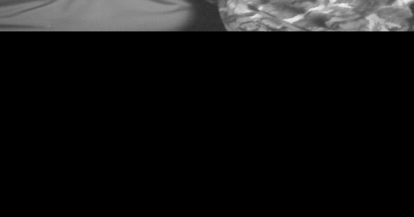 Jackie and Nancy Hamilton | Anniversaries | paducahsun.com