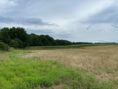 Graves farmer reflects on crop damage after flooding | News ...