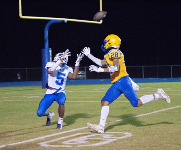 Tigers can't capitalize on late comeback, fall 22-14 to Colonels ...