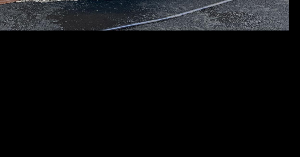 Tips on keeping pets safe on Fourth | News | paducahsun.com