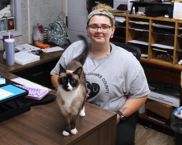 Mayfield-Graves shelter raises awareness of kitten overpopulation ...