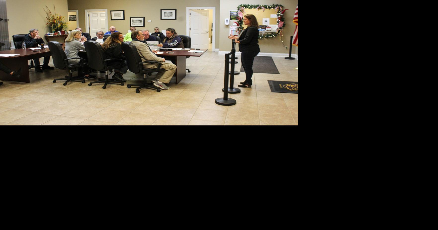 City Council hears beautification project proposal, discusses law ...