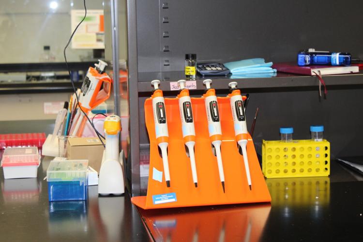 SIU scientist receives $400,000 grant to study aggression | News ...