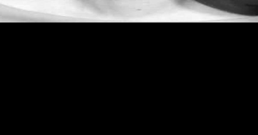 Laura Vick | | paducahsun.com