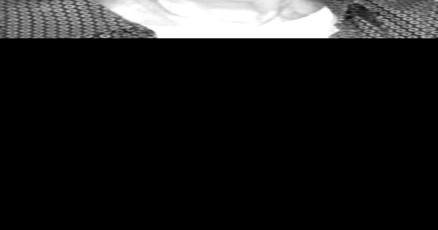 Callie Mai Smith | Obituaries | paducahsun.com