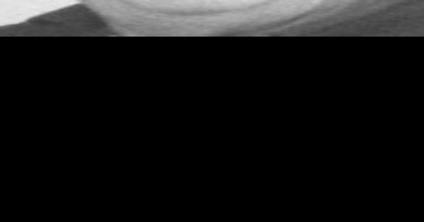 Charles Michael 'Mike' McCune | Obituaries | paducahsun.com