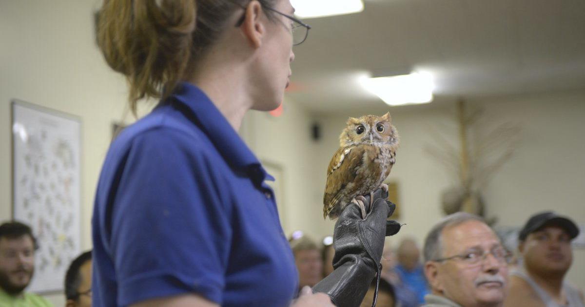 Scavenger hunt at LBL blends ecology, patriotism | Local News ...