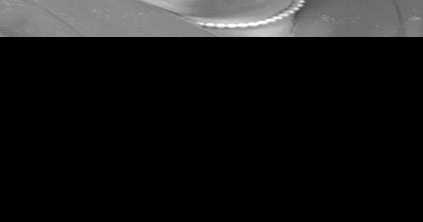 Eva Knott | Obituaries | paducahsun.com