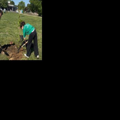 WKCTC hosts Arbor Day tree planting event | News | paducahsun.com