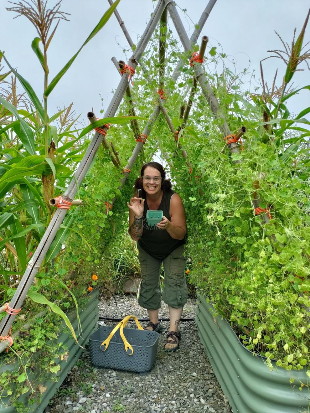 Q&A: Anne Townsend, Natural Resources, Environment, and Energy ...
