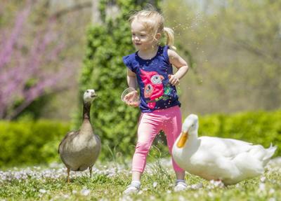 Newfound friends | Local News | paducahsun.com