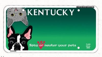 Spay and neuter grants available for local governments | | paducahsun.com