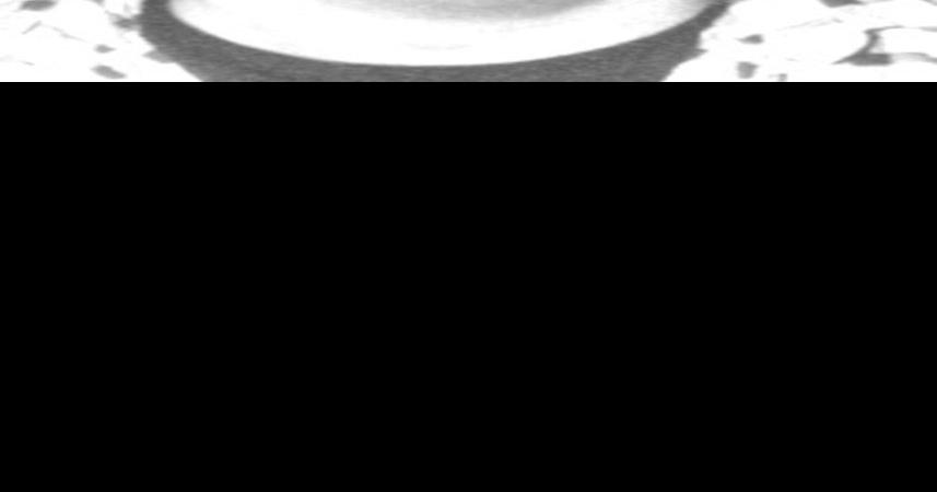 Michael Anthony Cissell | Obituaries | paducahsun.com