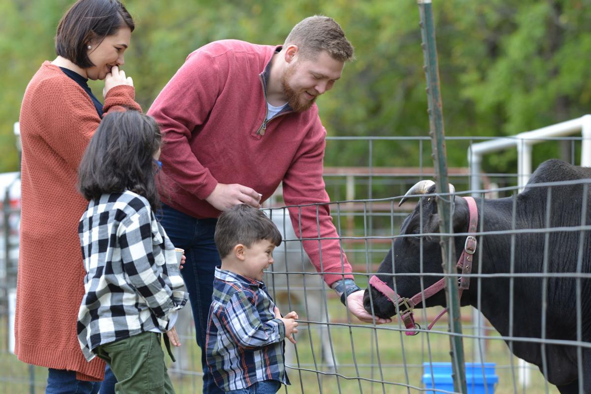 Fall fun on the farm | News | paducahsun.com