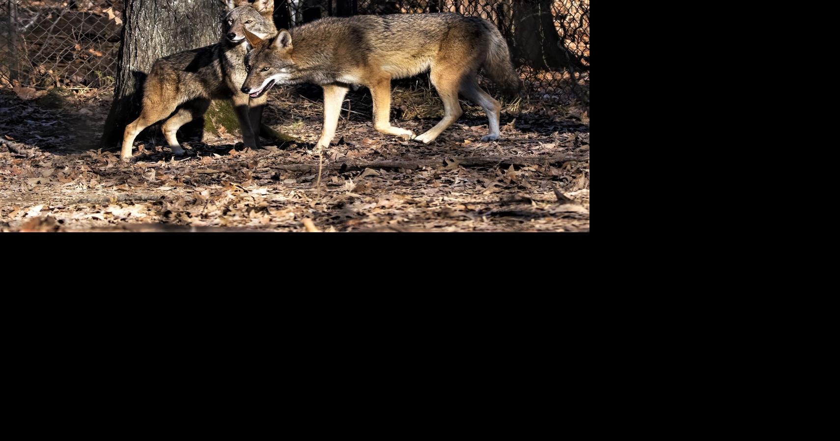 LBL campgrounds, attractions open for new season | News | paducahsun.com