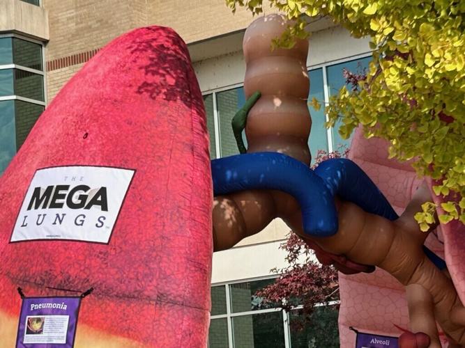 Lourdes hosts MEGA Lung exhibit to raise cancer awareness | News ...