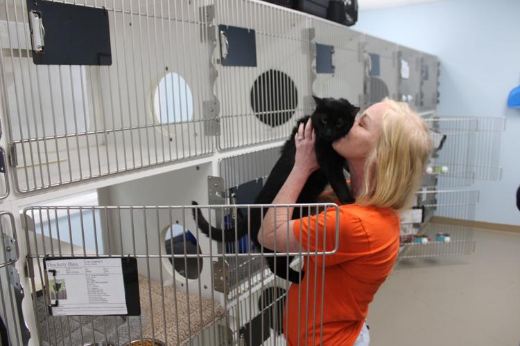 Officials share winter safety tips for pets | News | paducahsun.com