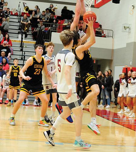 Golden Eagles fall to Hornets in 57th District opener | Sports ...