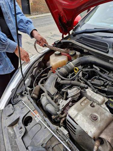 Snake rescued after being trapped in car engine for 20 miles | National ...
